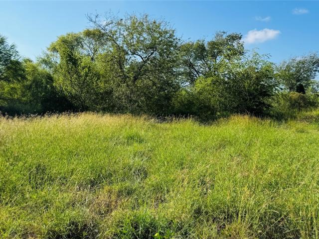 Lot 7 County Road 798