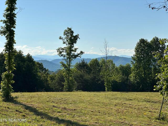 Lot 7 Curtis Rd, Tellico Plains, TN 37385