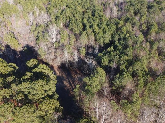 Lot 7 Docs Road