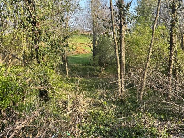 Lot #7 Freeman Lane