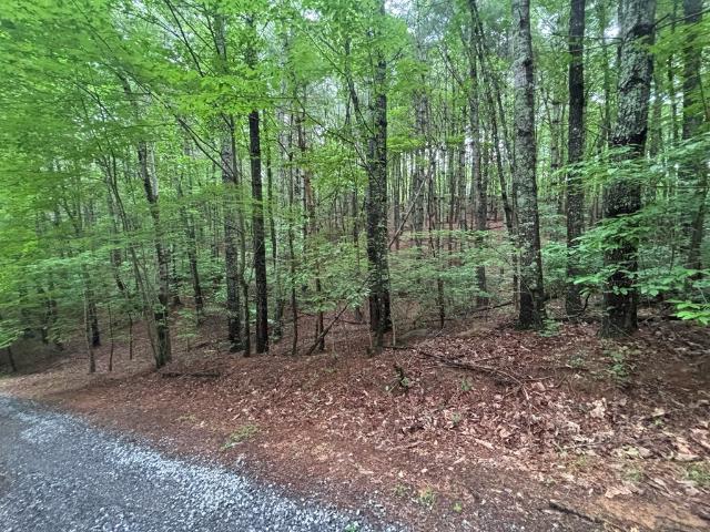 Lot 7 Horse Camp Drive