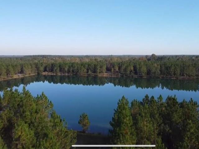 LOT 7 Hwy 341