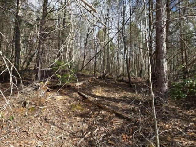 Lot 7 Kerlee Lane