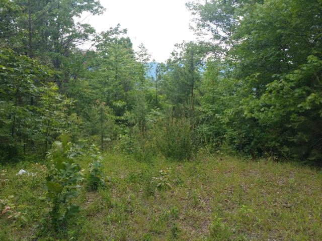 Lot 7 Mill Creek Estates, Hayesville, NC 28904 | MLS #298247