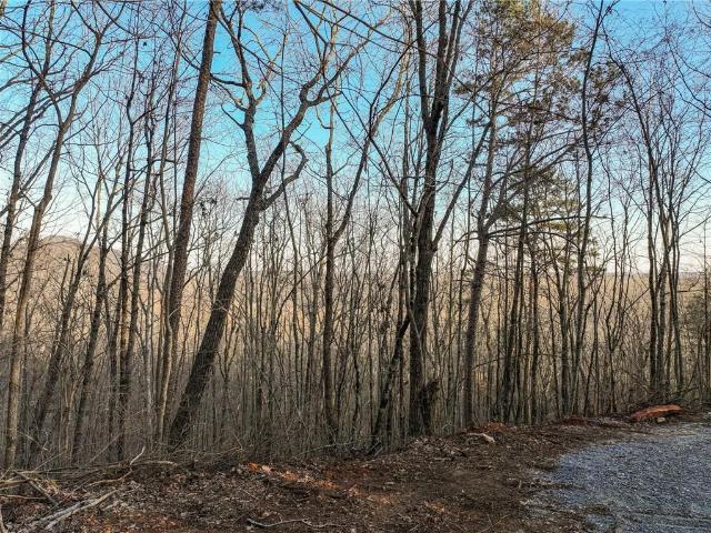Lot 7 Mount Mincie Rd, Murrayville, GA 30564 | MLS #7731 | Compass