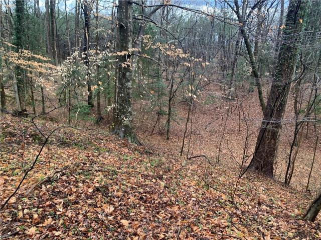 Lot 7 Mt Holly Creek LN