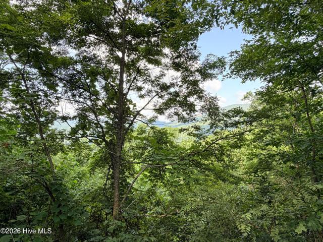 Lot 7 Mystic Ridge Way W