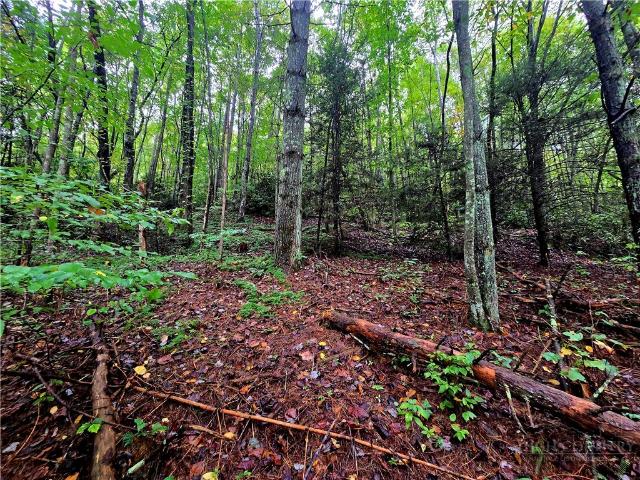 Lot 7 N. Old NC Hwy 16