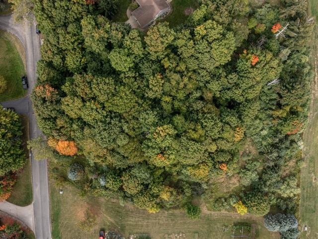 Lot #7 N Hill N Dale