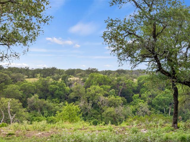 Lot 7 Pedernales Canyon Trl # Lot 7