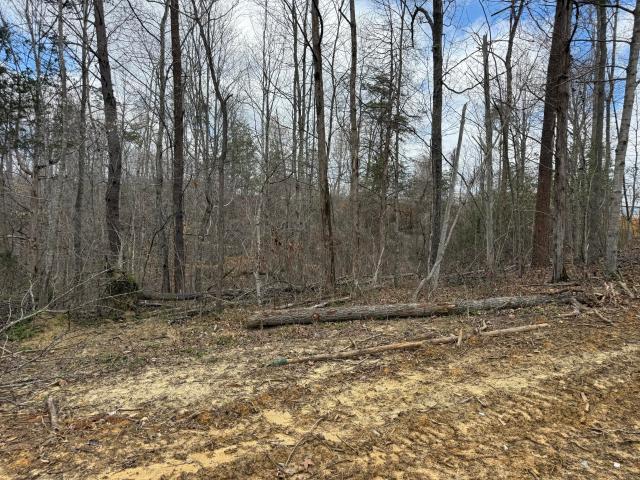 Lot 7 Phase 2 Stearns Hollow Road
