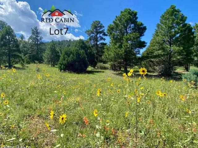 Lot 7 Red Cabin Ranch, Vernon, AZ 85940 MLS 253378