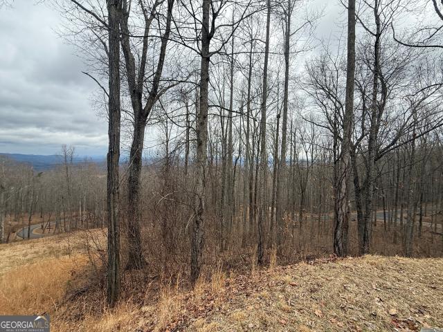LOT 7 Rocky Knob Drive 7