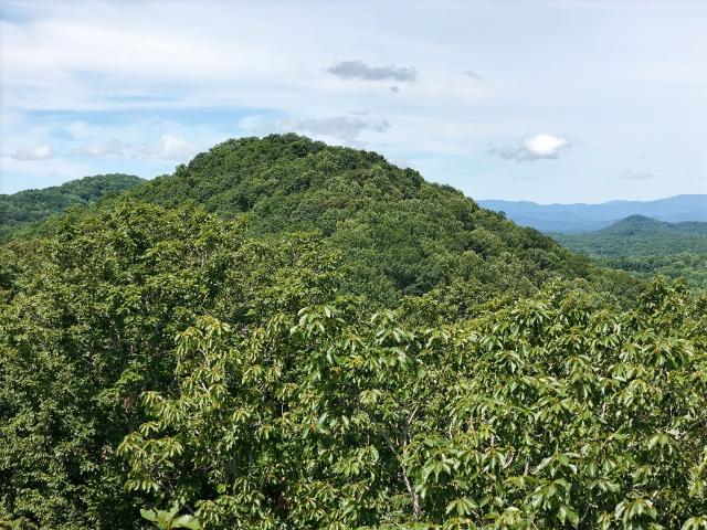 Lot 7 Scouts Overlook, Morganton, GA 30560 | MLS #434482