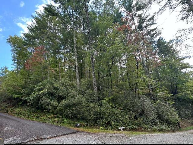 LOT 7 Sequoia Hills Lane 7