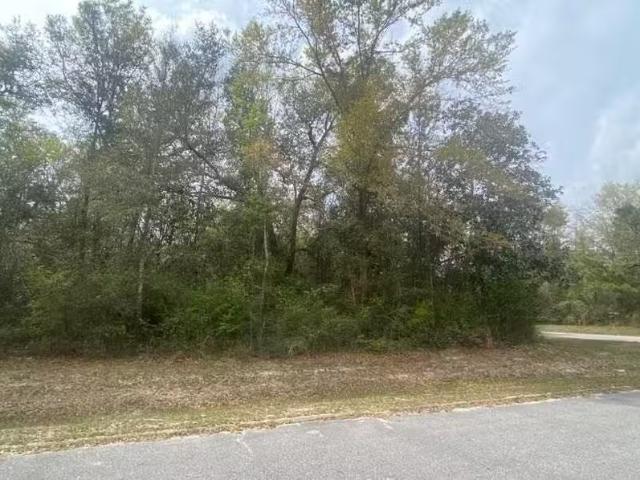 Lot 7 Seven Springs Dr, Wewahitchka, FL 32465 MLS 316922