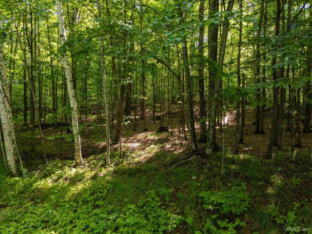 Lot 7 Smoky Lake Drive
