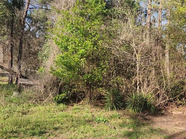 Lot 7 Sweetleaf Lane