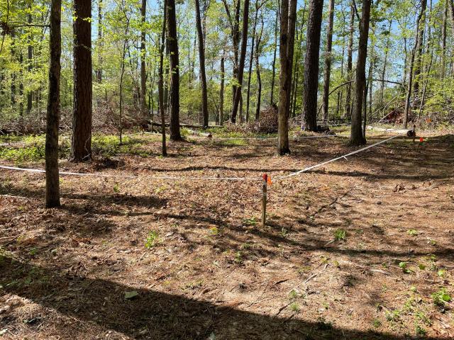 Lot 7 Stonehenge Circle