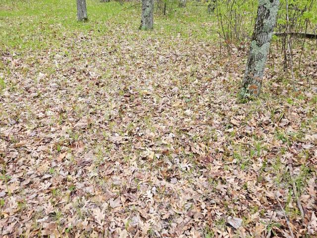 Lot 7 Standel Lane