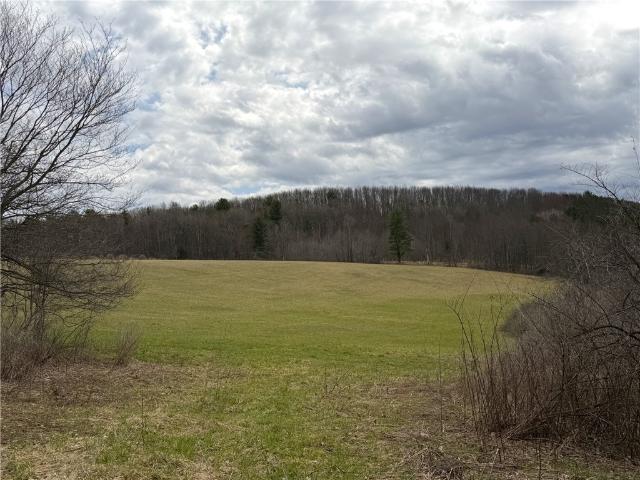 Lot 7 Summit Road