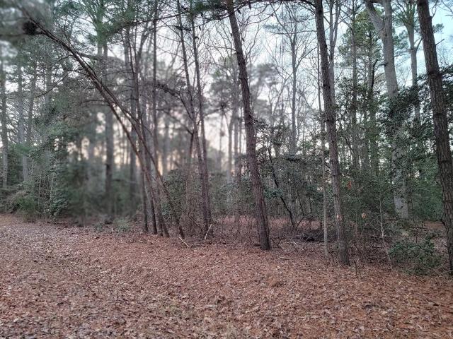 Lot 7A1 Wilsonia Shores Dr