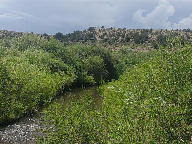 Lot 4053 Hilton Road