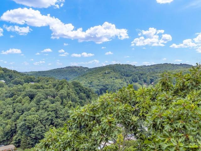 Lot 408 TBD Firethorn Trail