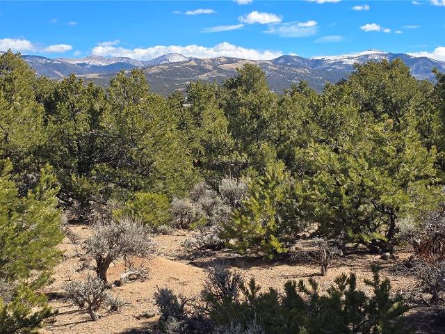 Lot 409 Williams Road