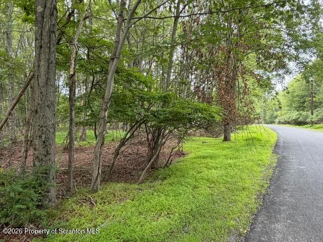 Lot 400 Snowshoe Circle
