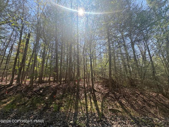 Lot 403 Williamson Drive