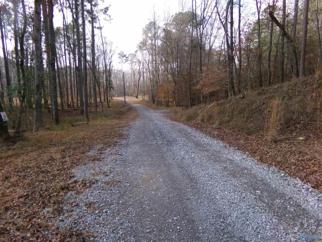 Lot 40 County Road 243