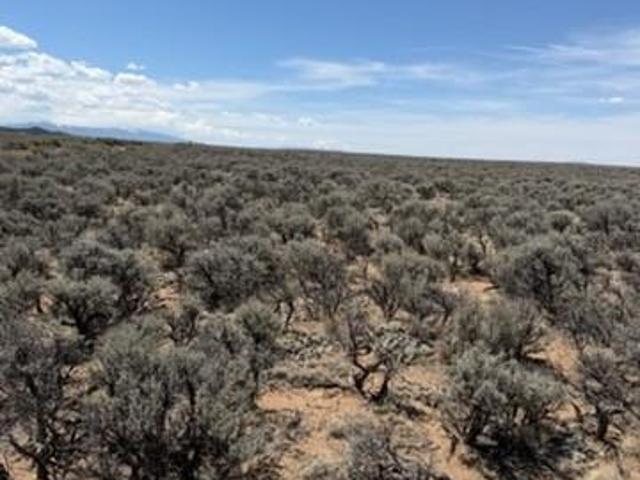 Lot 40 Dante Road
