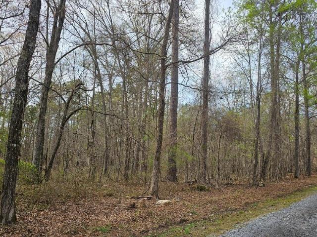 Lot 40 forestdale drive # 40