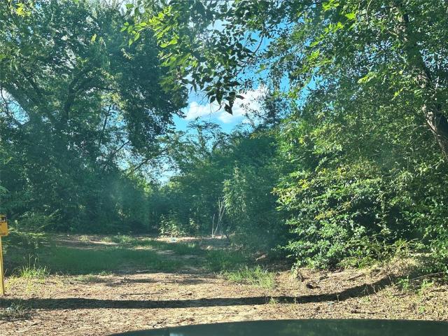 Lot 40 Harris, Sulphur Springs, TX 75482 | MLS #21047 | Compass