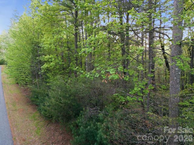 Lot 40 Larkhaven Drive
