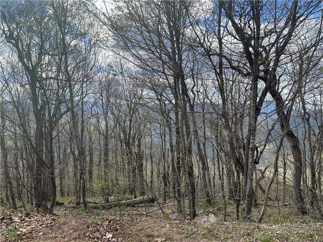 Lot 40 Silver Fox Drive