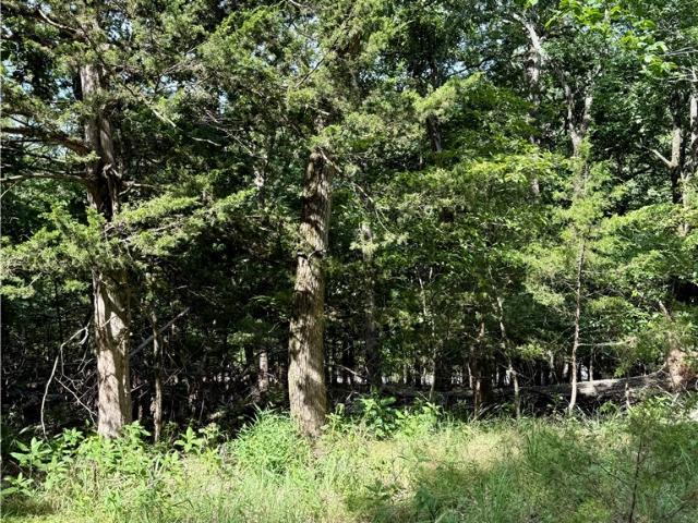 Lot 40 Pine Drive