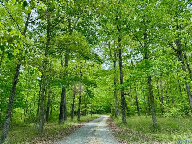 Lot 40 Road 9050