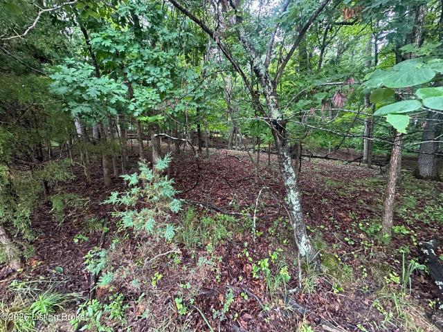 Lot 40 Red Wing Rd