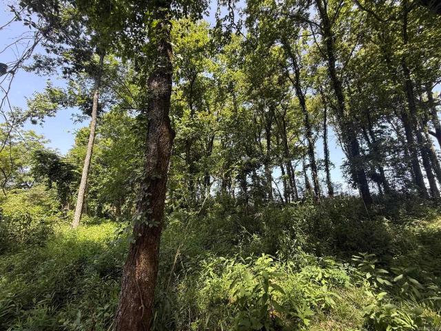 Lot 40 Up River