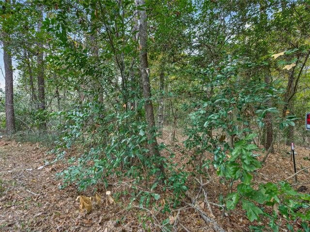 Lot 410, 411 North Woods