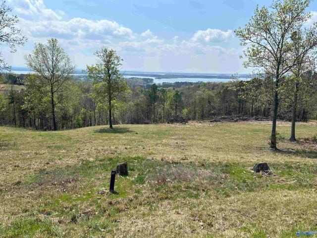 Lot 41 County Road 767