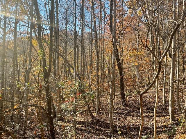 Lot 41 Ash Branch Cir, Hayesville, NC 28904 | MLS #417337