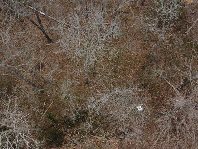 Lot 41 Auldearn Circle