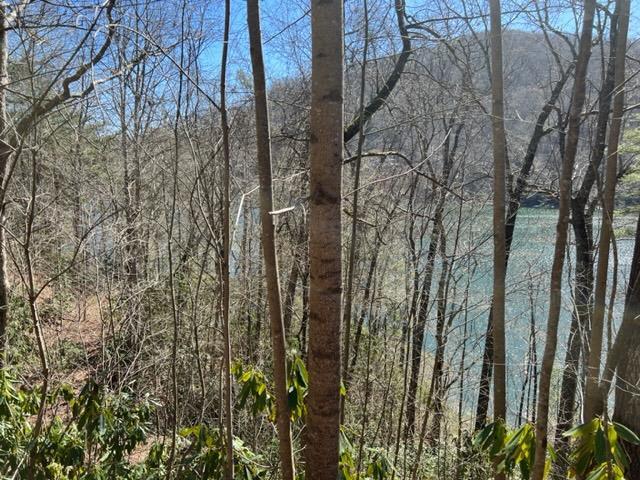 Lot 41 Indian Lake Drive