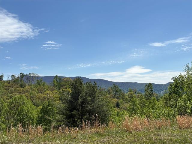 Lot #41 Lost Ridge Trail