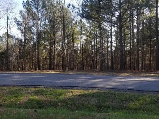Lot 41 Luxor Landing Lane