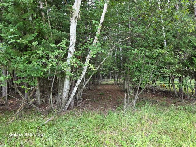 Lot 41 Sandbridge Court