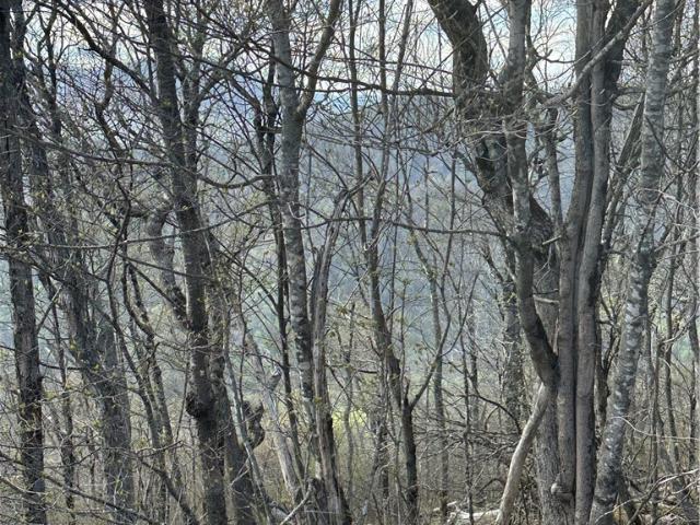 Lot 41 Silver Fox Drive